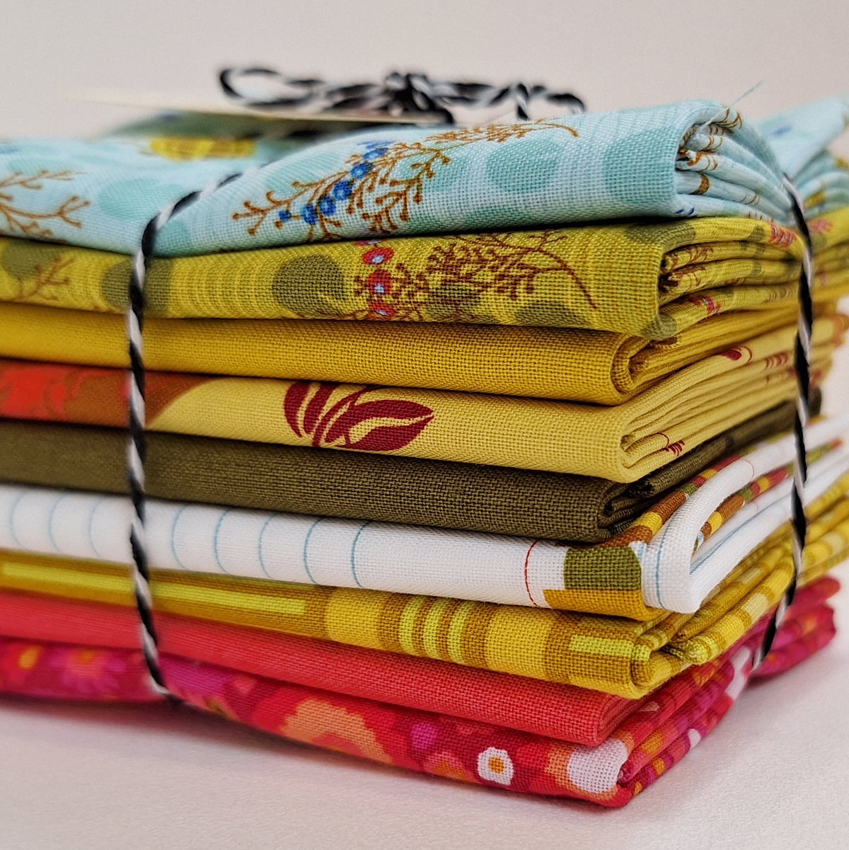 Designer Bundle - Alison Glass Camp Kitschy Lala — Fabric Spark