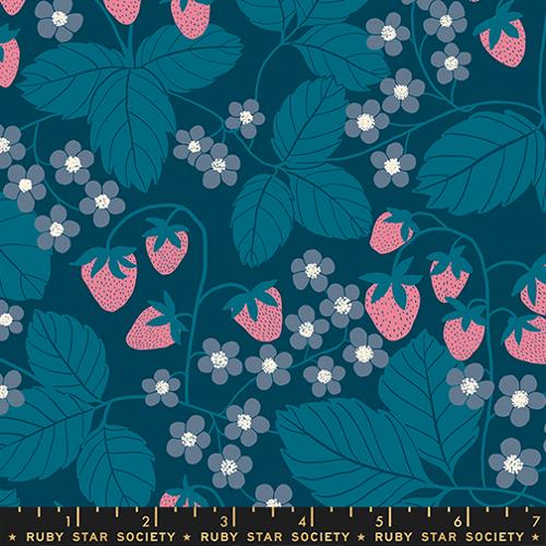 Reimagined Landscapes by Jen Hewett - Strawberry Field in Endpaper Gal ...