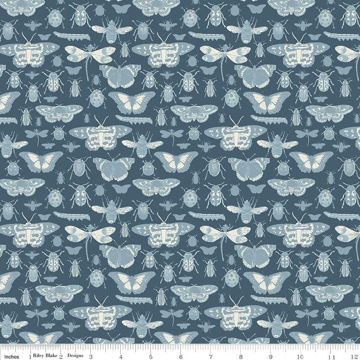 Floral Gardens by Riley Blake - Insects in Navy — Fabric Spark
