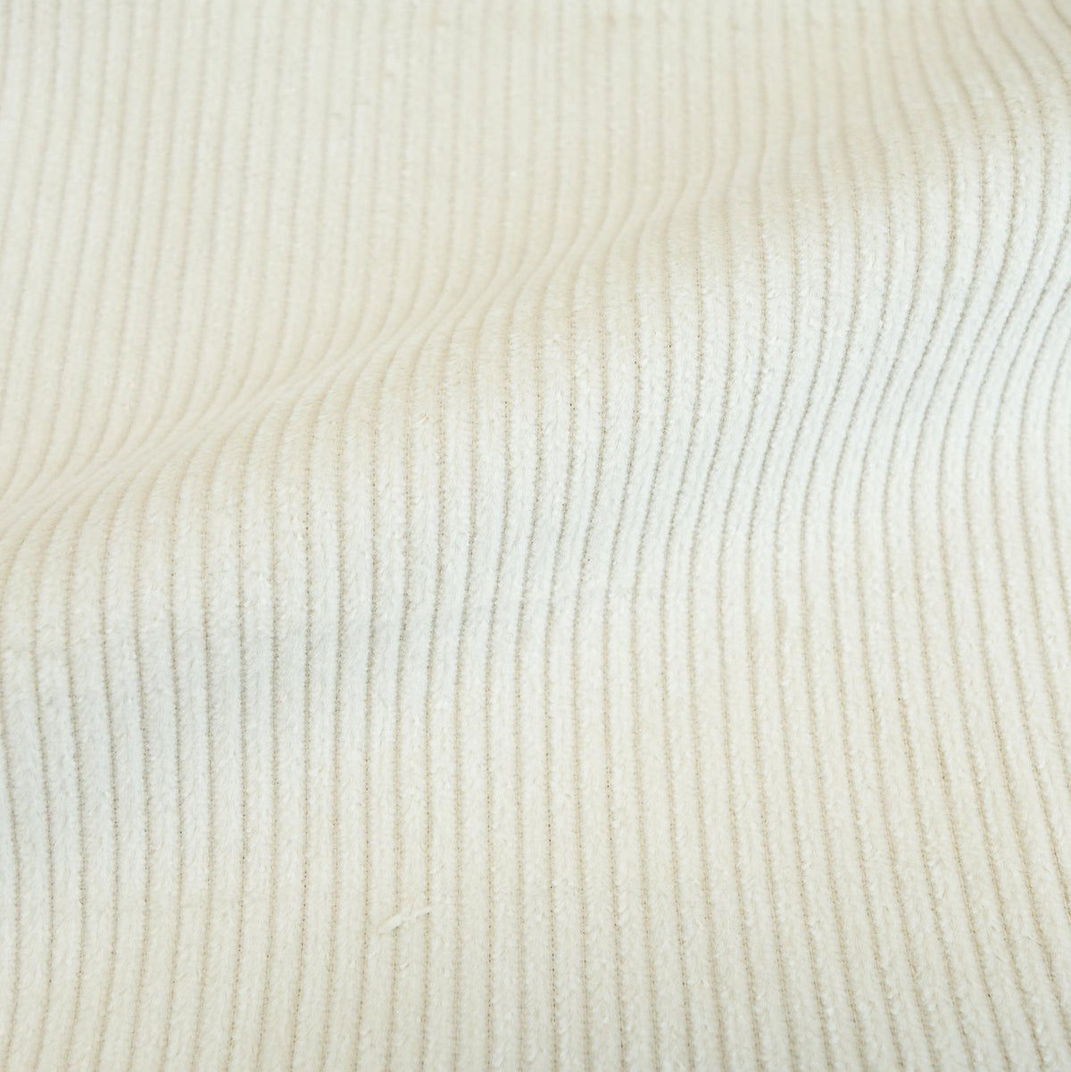 Cotton stretch Corduroy - 8 wale - Vanilla — Fabric Spark